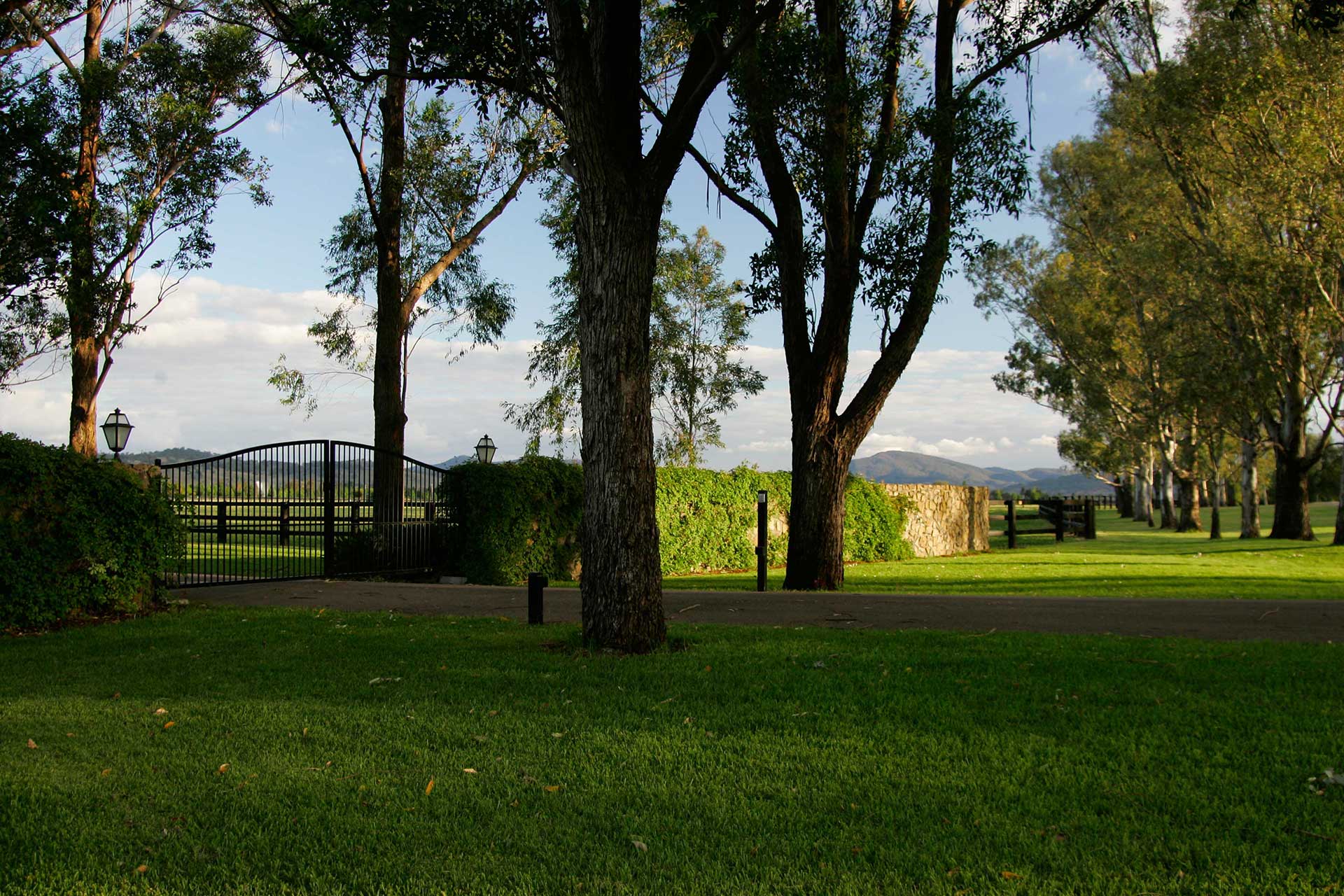 History - Arrowfield