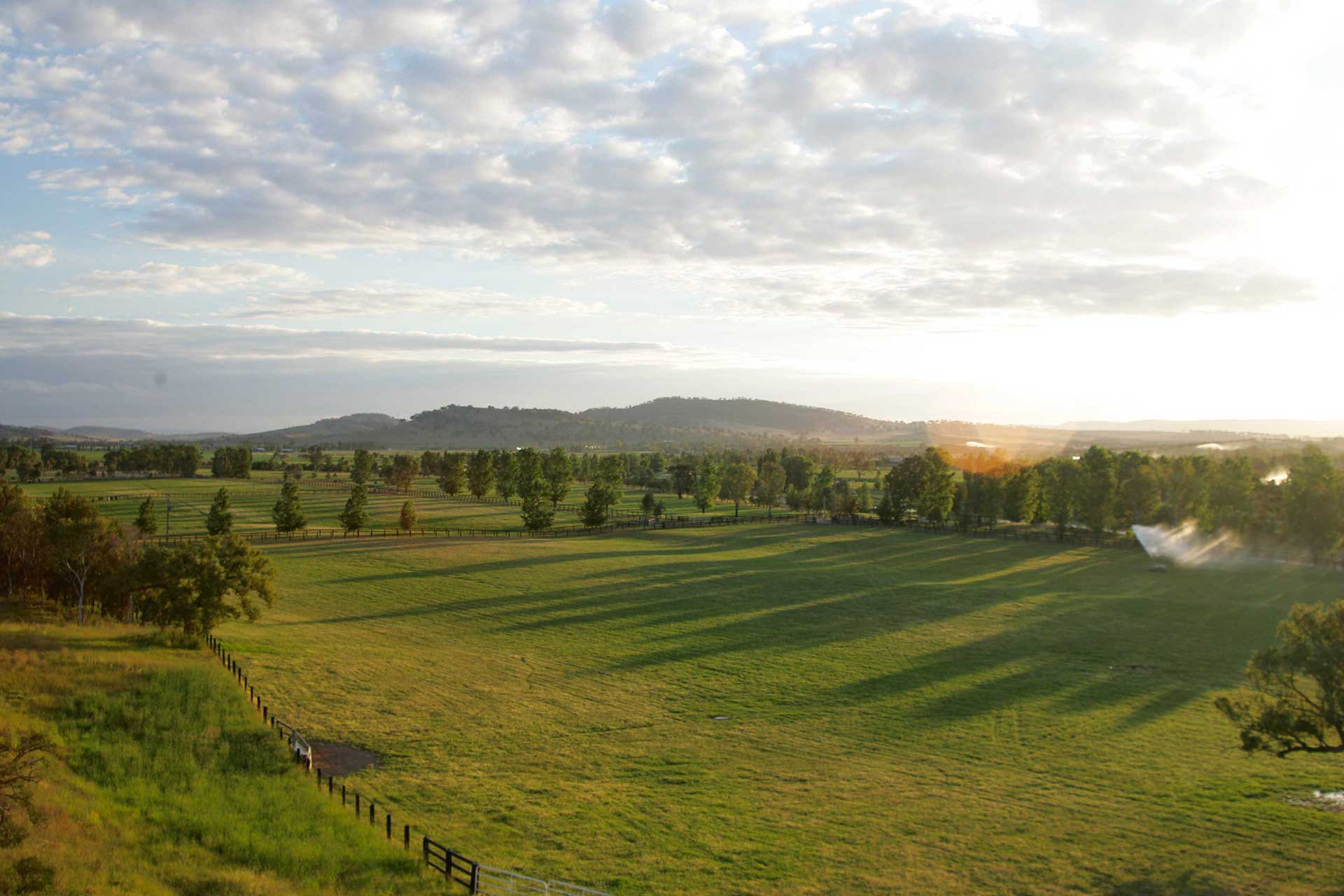 History - Arrowfield