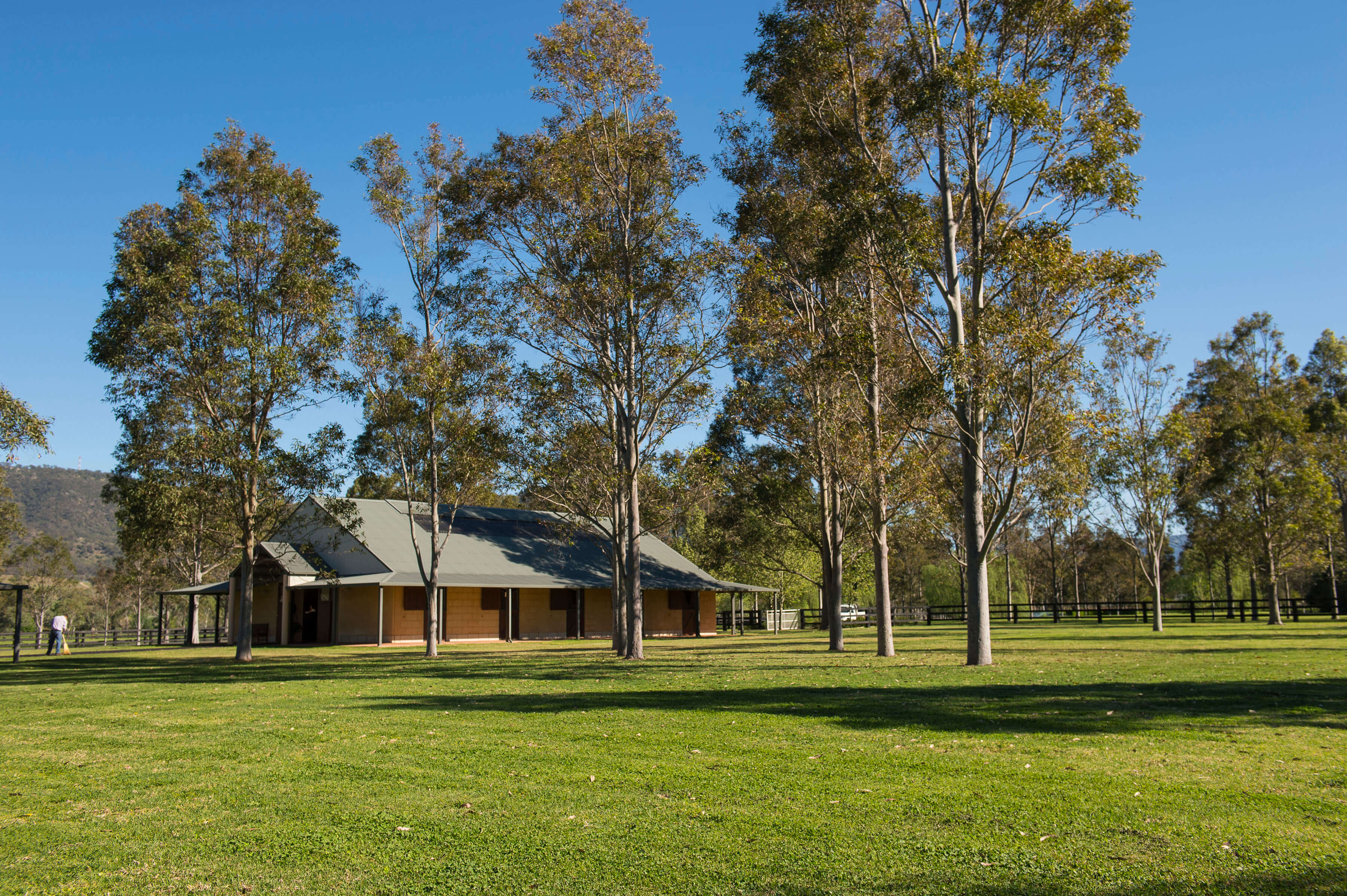 History - Arrowfield