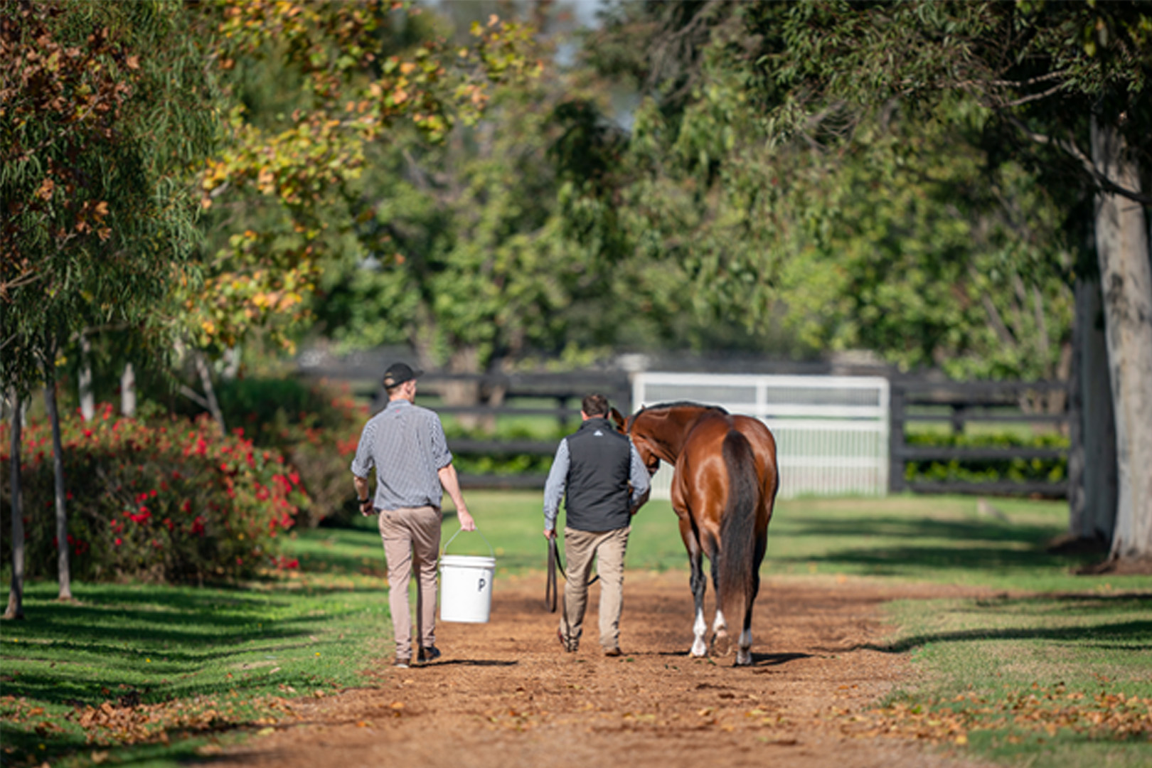 Employment Opportunities at Arrowfield Stud