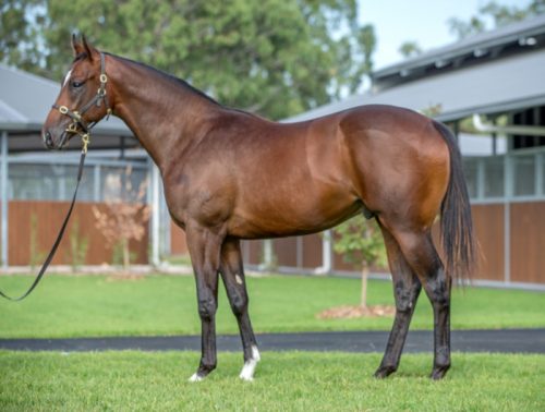 Alabama Express triumphs in the Orr Stakes - Arrowfield