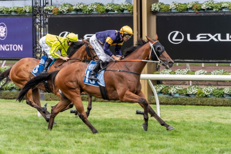 Third stakes win for Inglis Easter graduate Wild Planet - Arrowfield