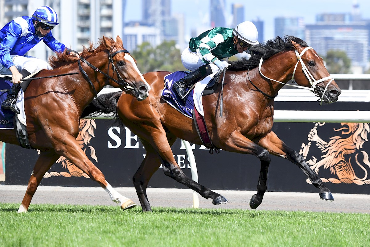 Tagaloa on target for Guineas tilt - Arrowfield