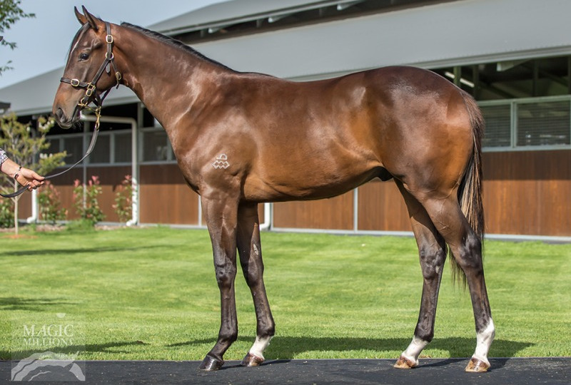 Count De Rupee gets The Gong - Arrowfield