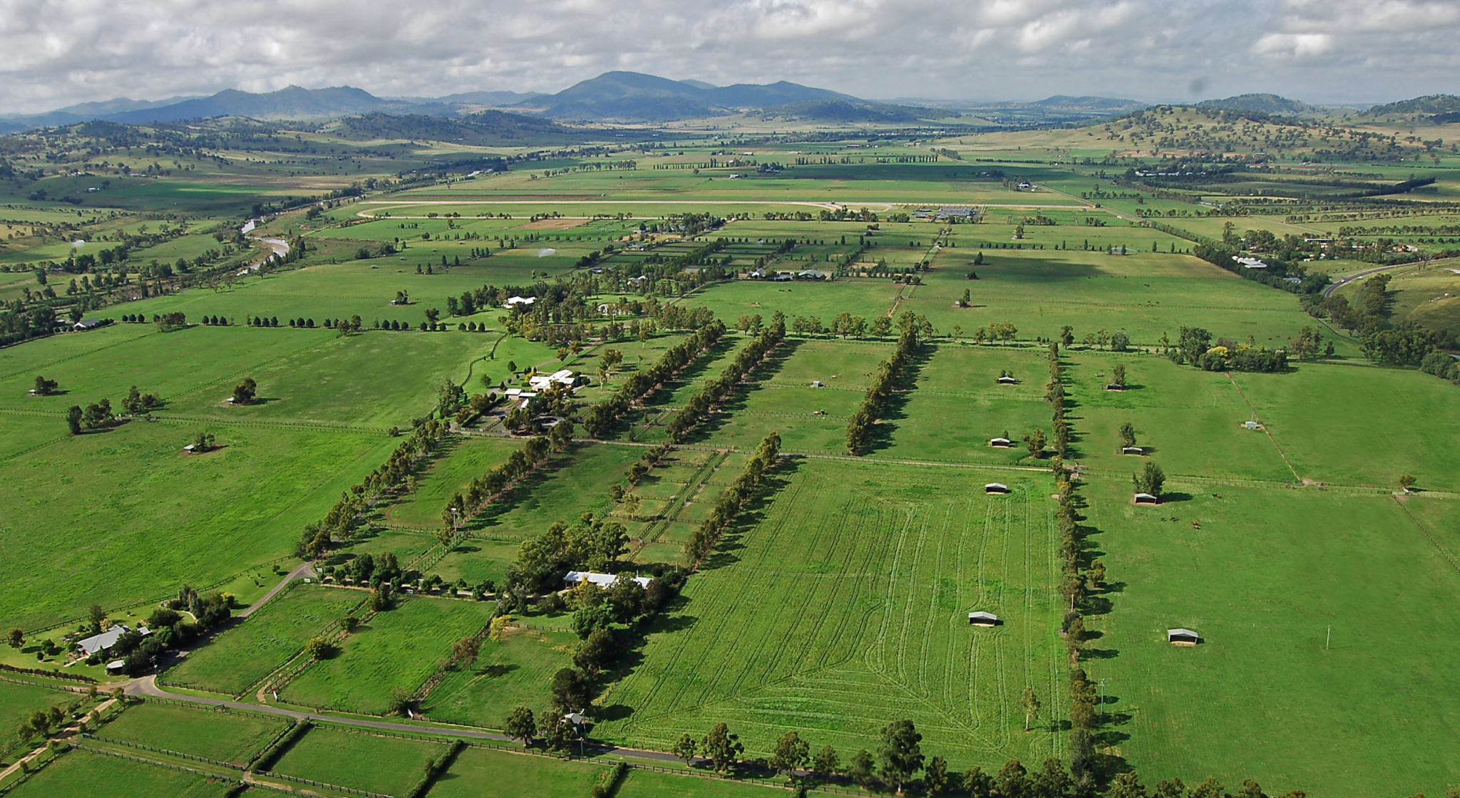 Contact - Arrowfield