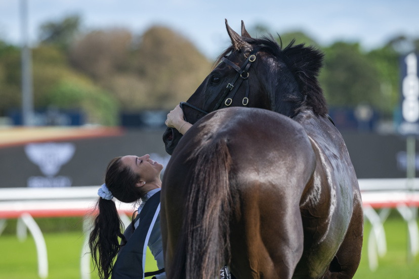 Hitotsu - Arrowfield