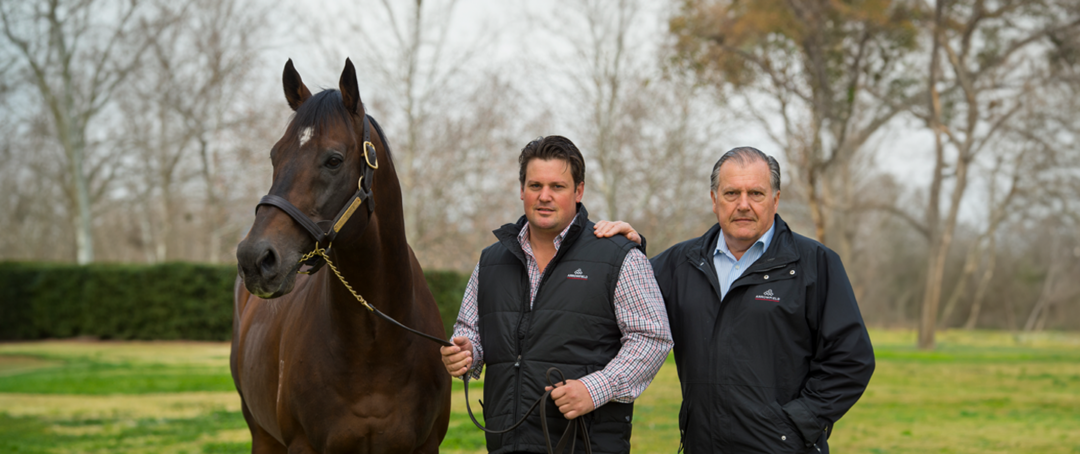 History - Arrowfield