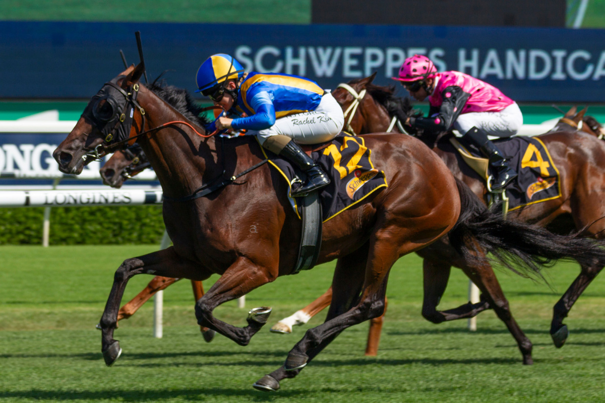 Dundeel - Arrowfield