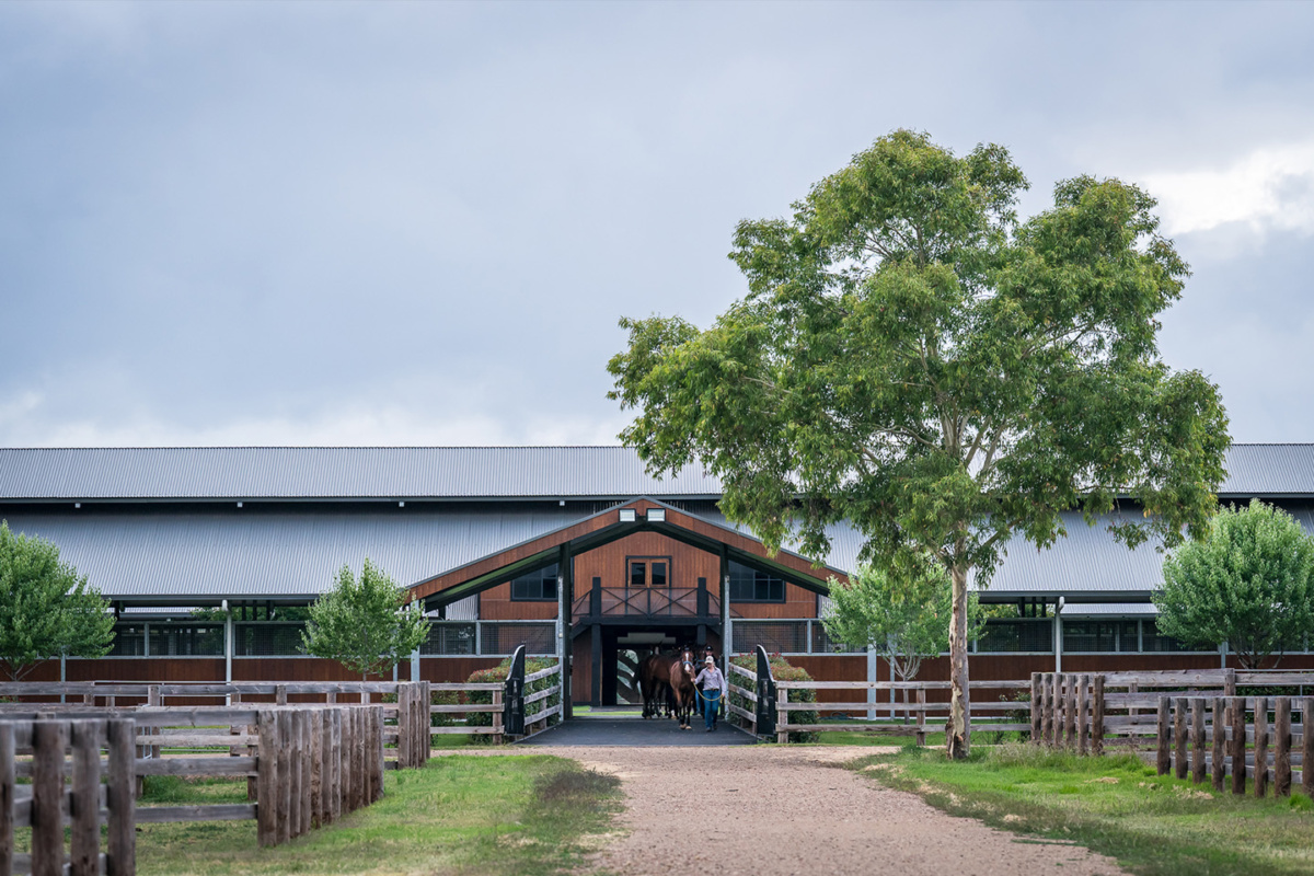 Employment Opportunities at Arrowfield Stud