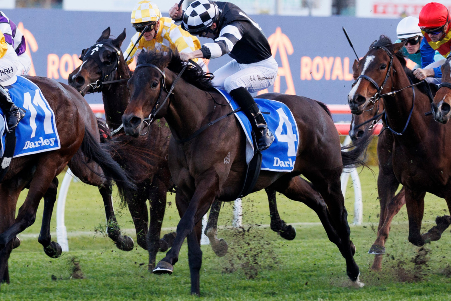 The Autumn Sun - Arrowfield