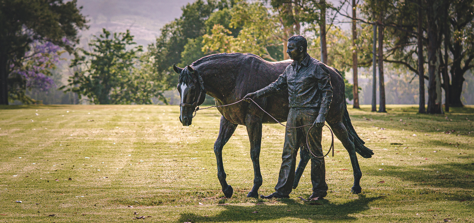 Arrowfield mourns Champion Sire Snitzel - Arrowfield